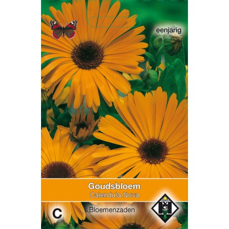 Calendula officinalis 'Nova' -seeds-
