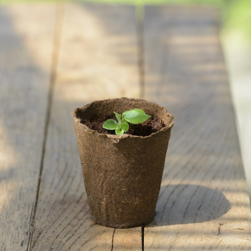 Biopot H8 x 8 cm rond met kokostablet 3 stuks