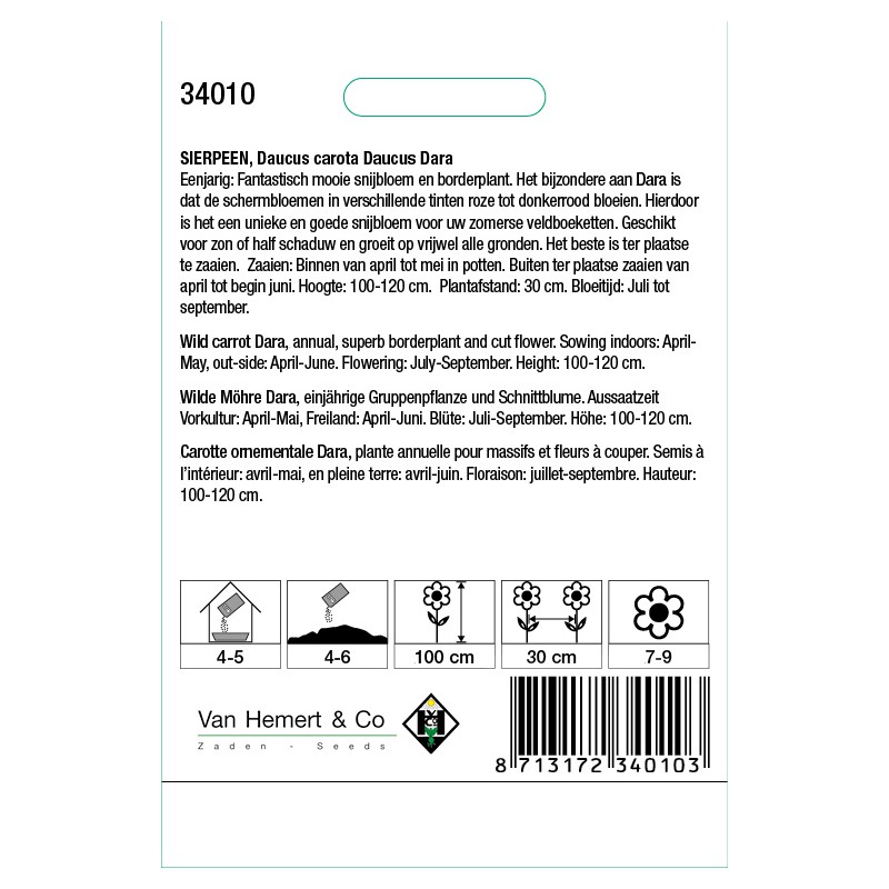 Daucus carota 'Dara' -seeds-